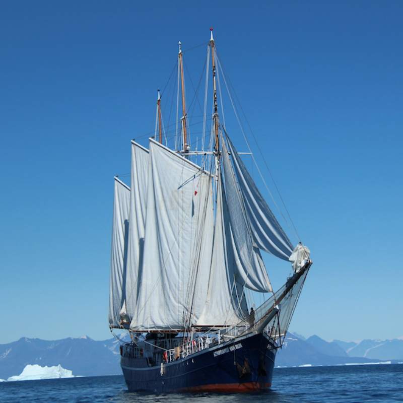 Expeditionen, Polarreisen, Bergexpeditionen - TOURLIEBHABER