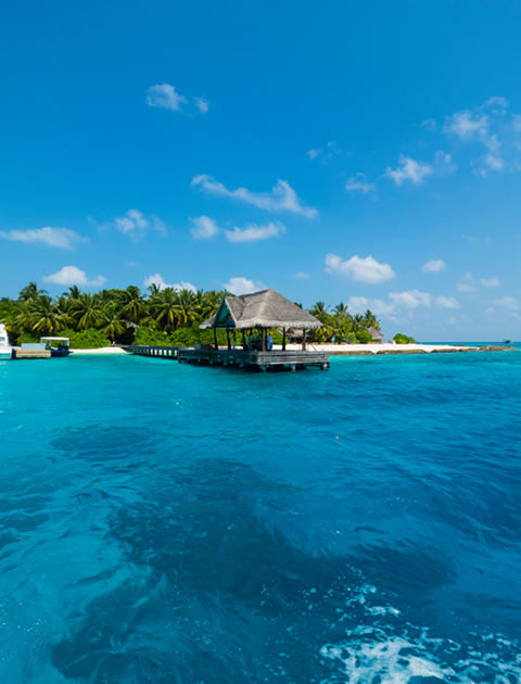 Adventure Cruise Ships in Rasdhoo Atoll, Maldives - LiveAboard.com