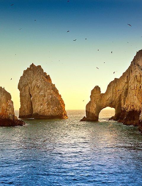 2 Cruises in Baja California, Mexico - LiveAboard.com