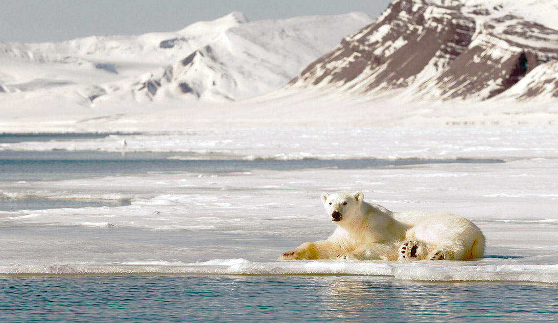 Spitsbergen Diving
