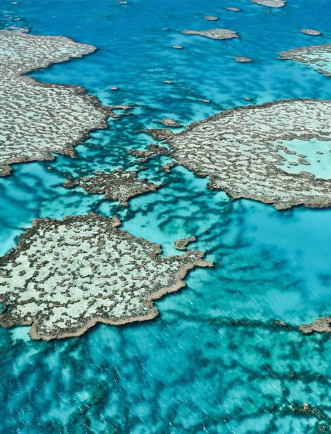 20 Liveaboards in Australia - LiveAboard.com