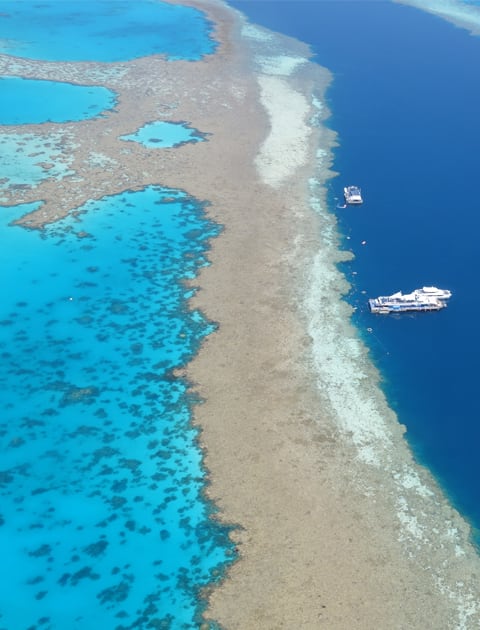 5 Liveaboards in Outer Great Barrier Reef, Australia - LiveAboard.com