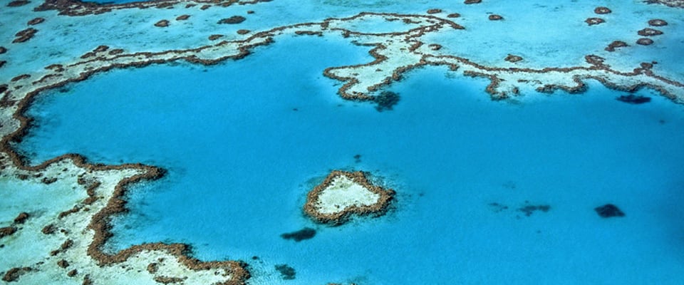 4 Liveaboards in Coral Sea, Australia - LiveAboard.com