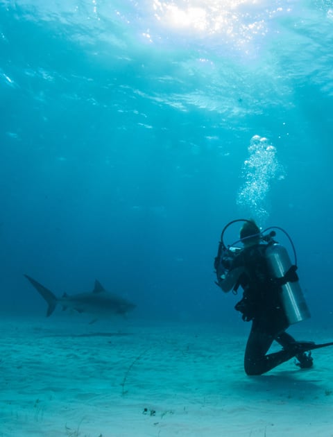 5 Liveaboards in Exuma Cays, Bahamas - LiveAboard.com