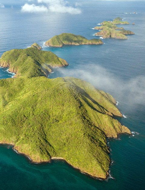 Liveaboard Diving in Bat Island