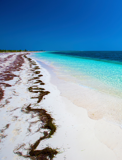 Liveaboards in Canarreos Archipelago, Cuba - LiveAboard.com