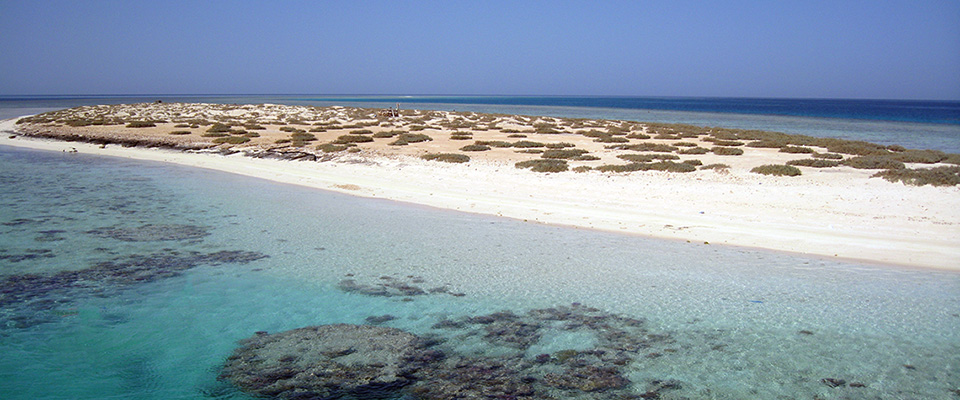 12 Liveaboards in Hamata, Egypt - LiveAboard.com