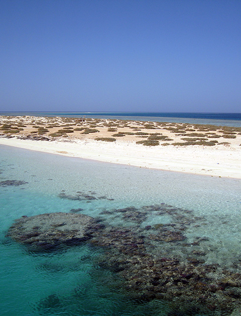12 Liveaboards in Hamata, Egypt - LiveAboard.com