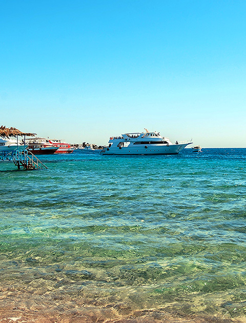33 Liveaboards in Safaga, Egypt - LiveAboard.com