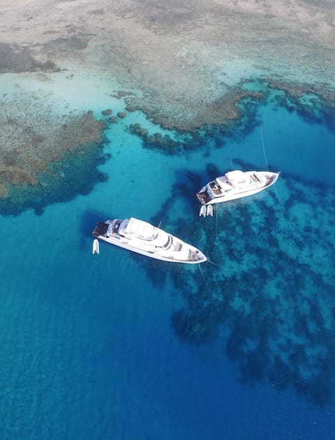 82 Liveaboards in Egypt - LiveAboard.com