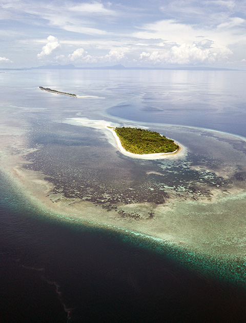 14 Liveaboards in Koon Island, Indonesia - LiveAboard.com