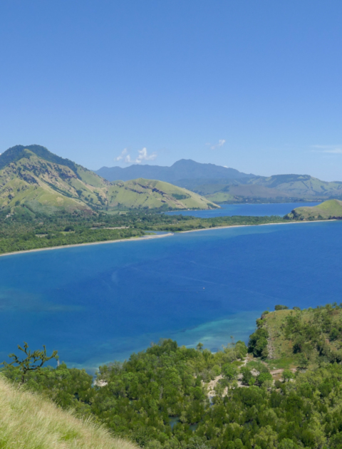 Maumere Liveaboard Diving