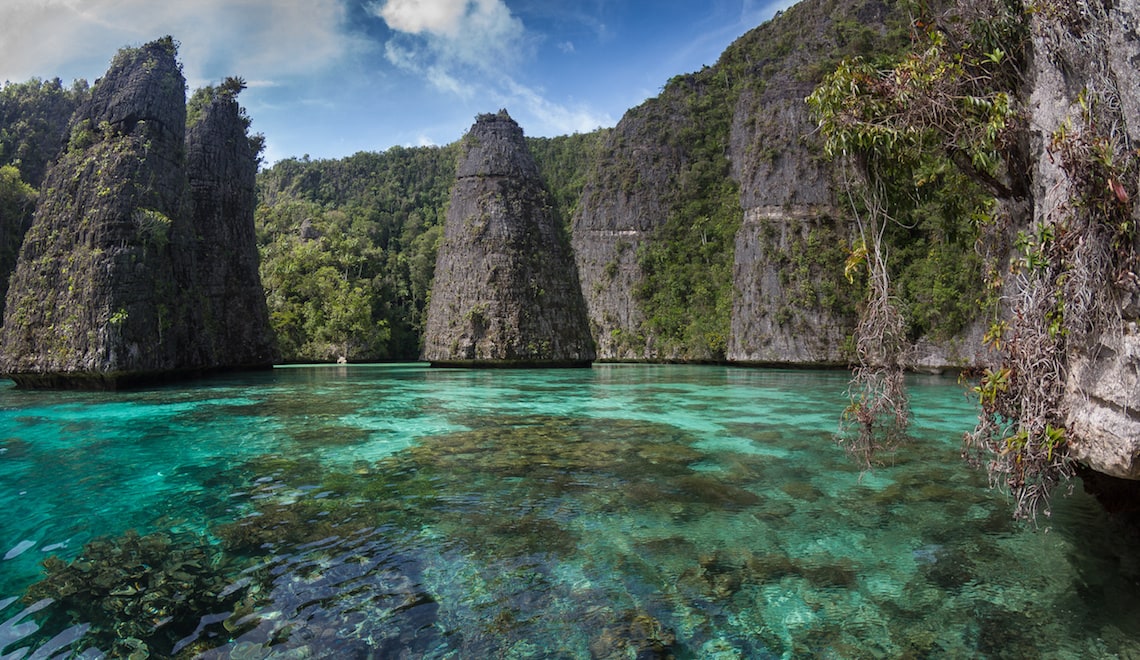61 Liveaboards in Misool, Indonesia - LiveAboard.com