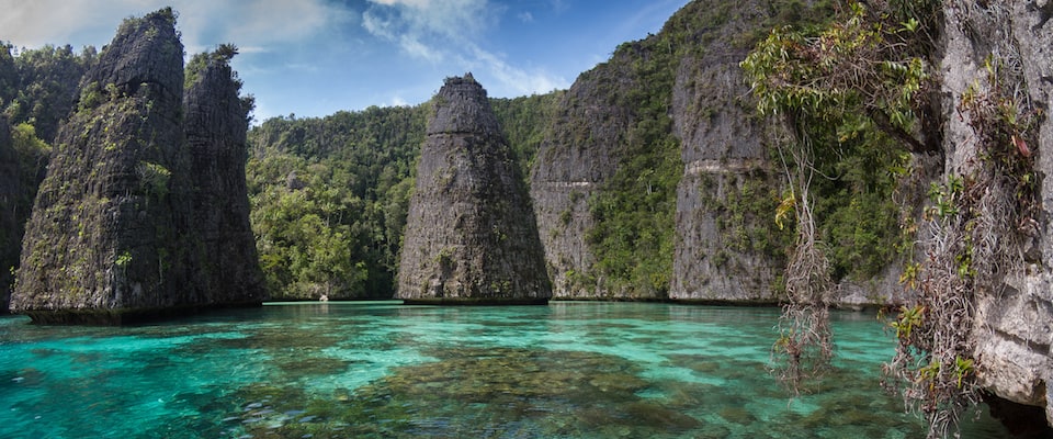 58 Liveaboards in Misool, Indonesia - LiveAboard.com