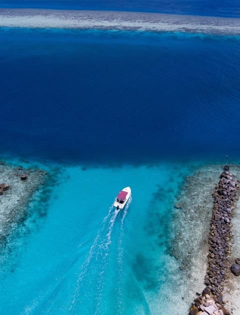 15 Liveaboards in Felidhoo Atoll, Maldives - LiveAboard.com