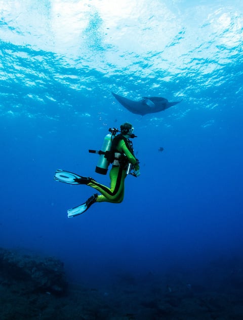 9 Liveaboards in Socorro Island, Mexico - LiveAboard.com