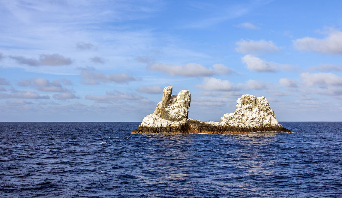 7 Liveaboards in Roca Partida, Mexico - LiveAboard.com