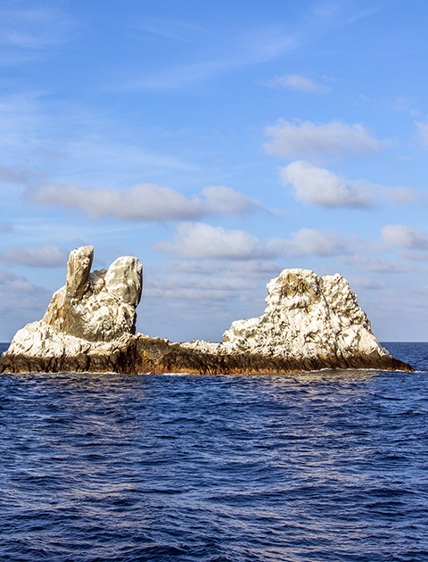 9 Liveaboards in Roca Partida, Mexico - LiveAboard.com