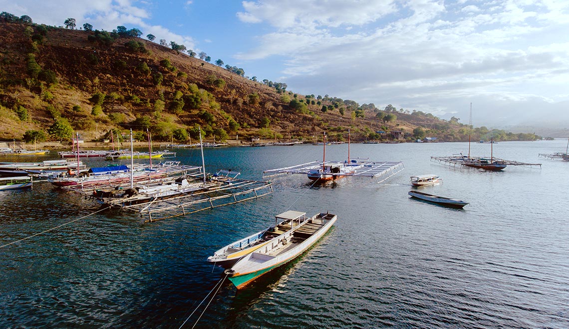 11 Liveaboards in Bima, Indonesia - LiveAboard.com