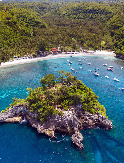 42 Liveaboards in Crystal Rock, Indonesia - LiveAboard.com