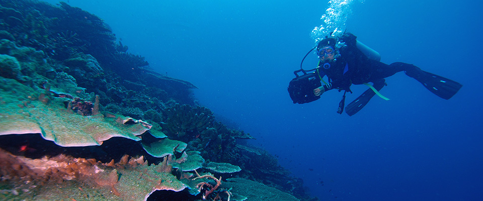 24 Liveaboards in Halmahera, Indonesia - LiveAboard.com