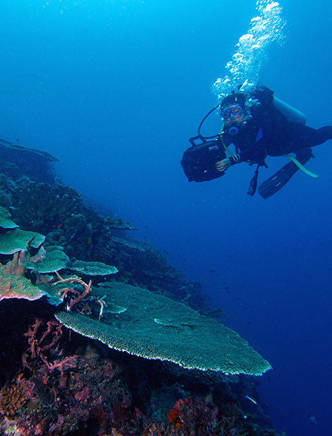 24 Liveaboards in Halmahera, Indonesia - LiveAboard.com