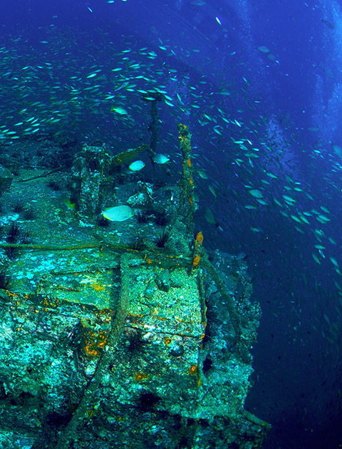 5 Liveaboards in King Cruiser Wreck, Thailand - LiveAboard.com