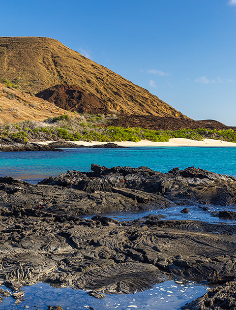 39 Cruises in Sullivan Bay, Galapagos - LiveAboard.com