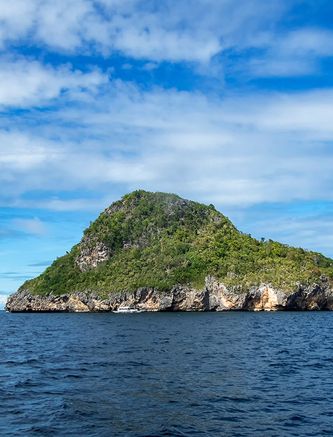 5 Liveaboards in Gato Island, Philippines - LiveAboard.com